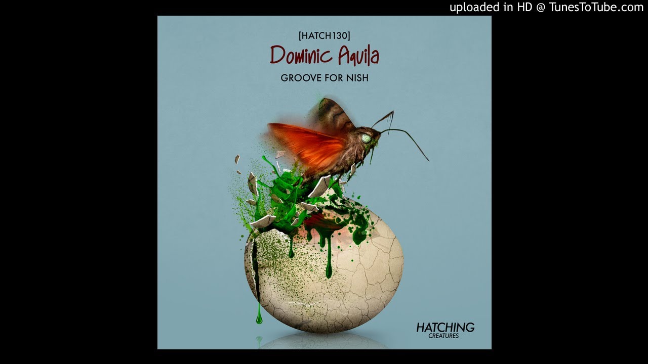 Dominic Aquila - Jah Jah (Original Mix) BFS - YouTube