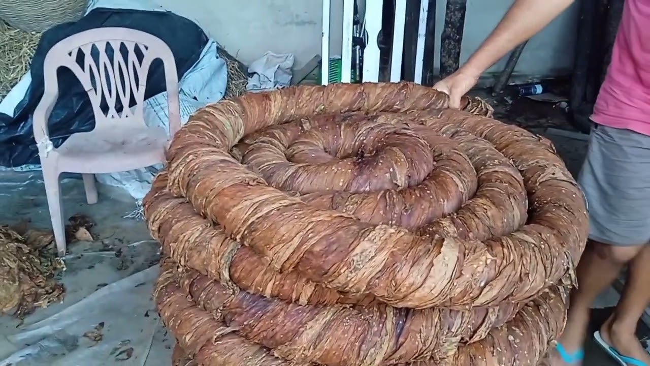 enrolando fumo - YouTube