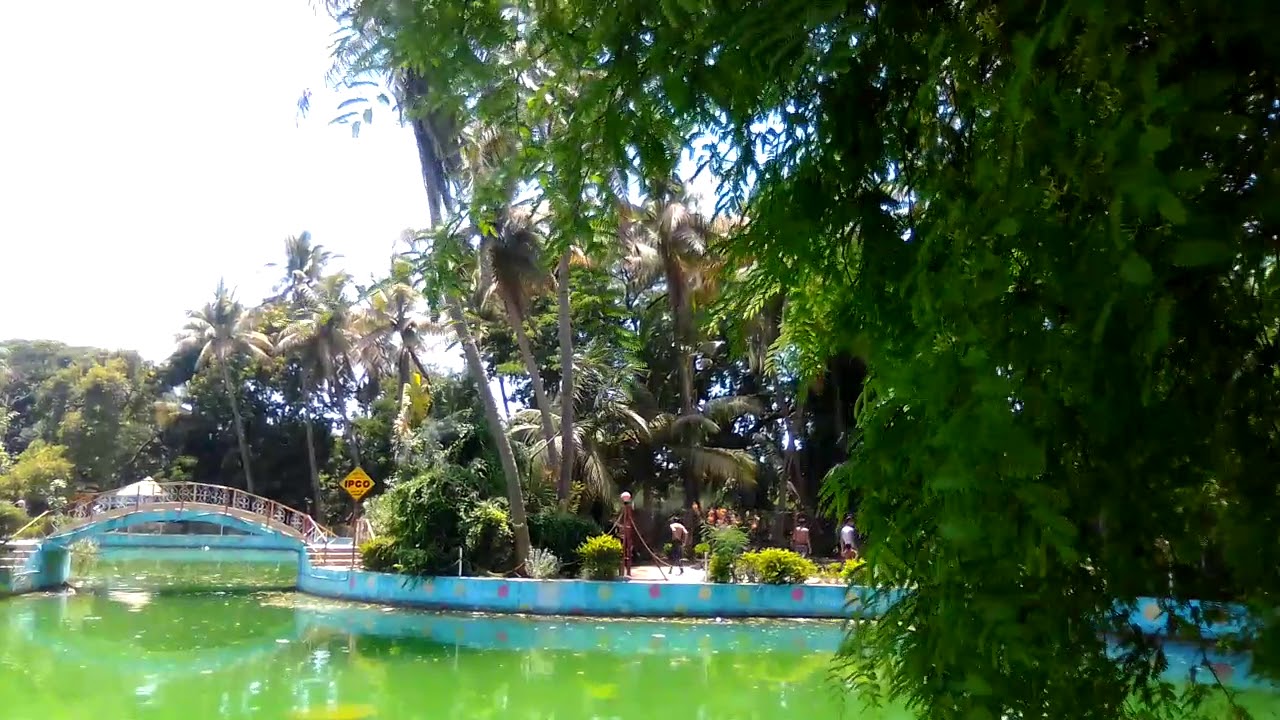 Dharmaj swimig pool || dharmaj surjba park - YouTube