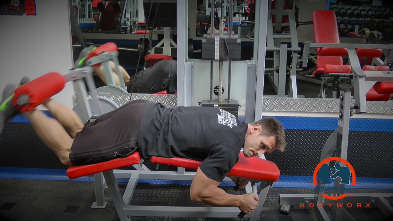 Lying Hamstring Curls Exercise Video - YouTube