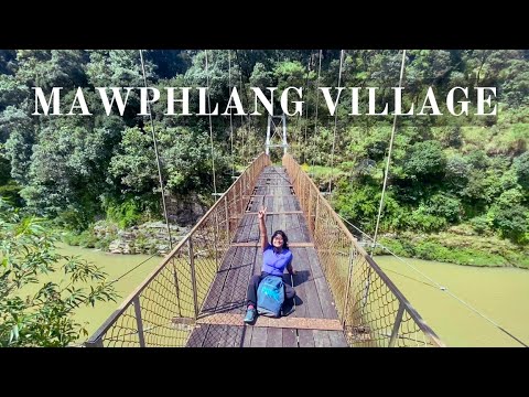 Mawphlang Sacred Forest & David Scott Trail | Mawphlang Village ...