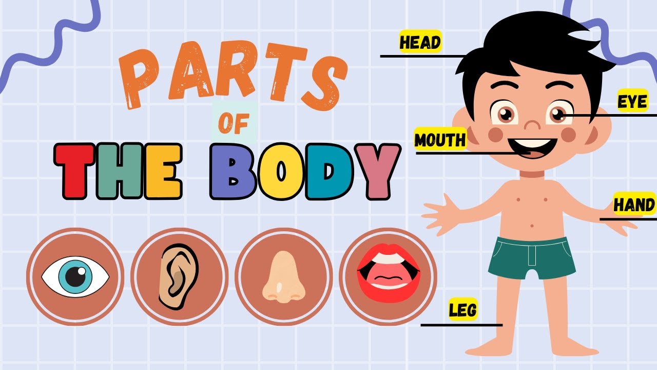Learn Parts of Body Names | Body Parts Names for Kids | Human Body ...
