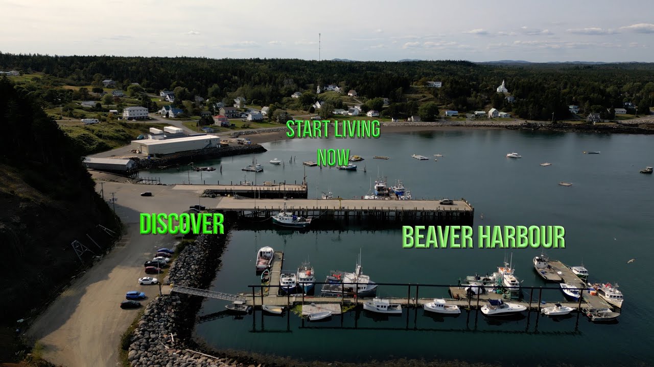 "Exploring the History of Deadman’s Harbour, Beaver Harbour, and Black's Harbour in New ...