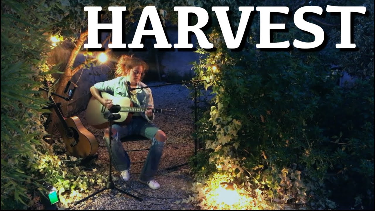 Harvest - Neil Young Cover - YouTube