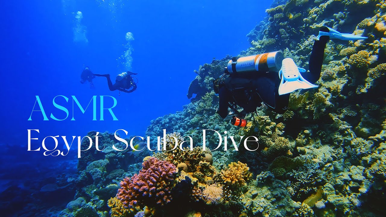 ASMR Soft Spoken Scuba Dive Adventure of Poseidon's Reef Hurghada Egypt ...