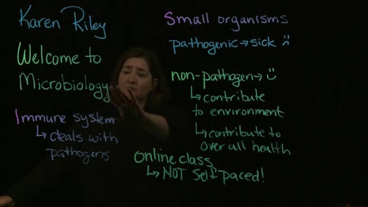 Welcome to Microbiology - YouTube