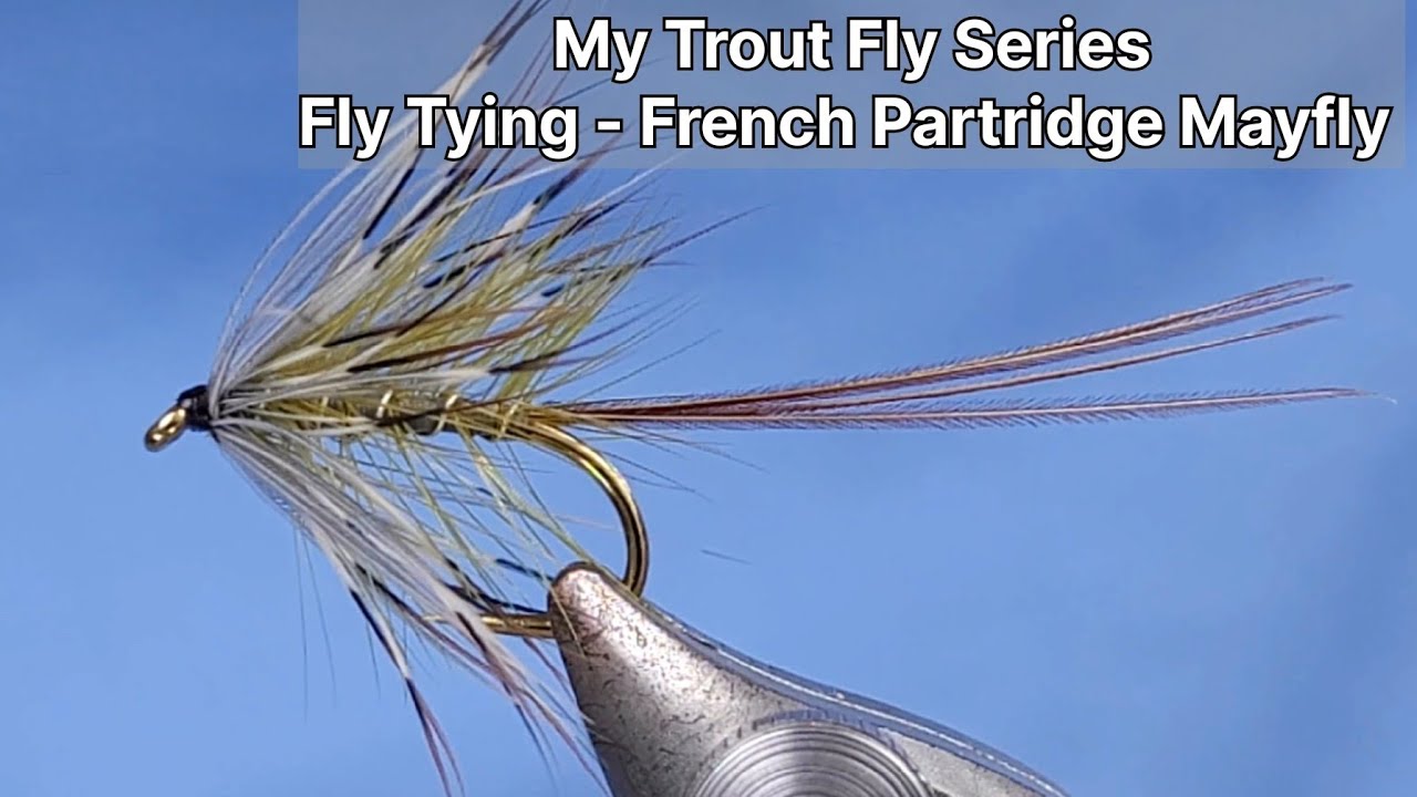 Fly Tying a French Partridge Mayfly- My Trout Fly Series - YouTube