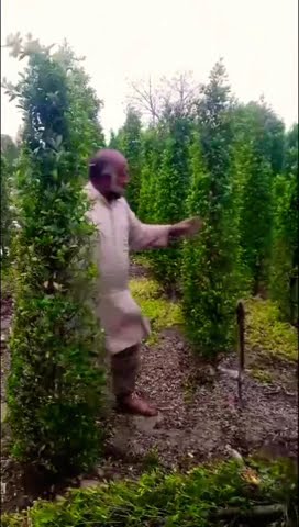 Kon fax 🌴 - YouTube