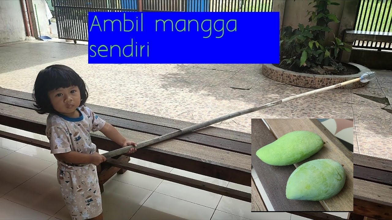 Cara membuat galah pemetik buah bersama kakak hanin - YouTube