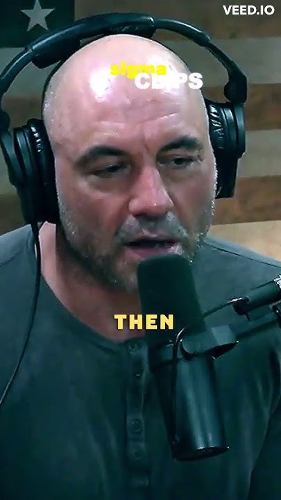 THE YOUTUBE ALGORITHM won't LET you SEE THIS! - YouTube