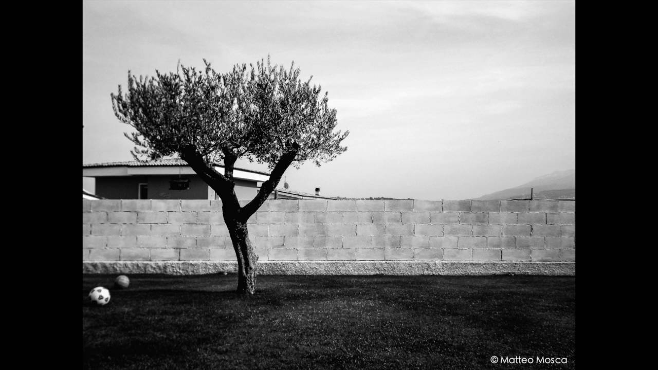 Cullato dalla Luna - Matteo Mosca - YouTube