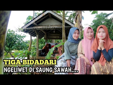 Pesona Gadis Desa Cantik dan Rajin, Ngeliwet di Saung Sawah NIKMAT ...