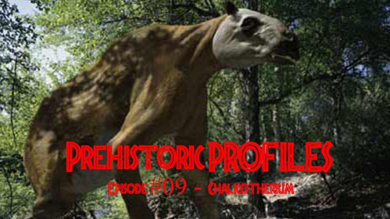 Prehistoric Profiles #09 Chalicotherium - YouTube