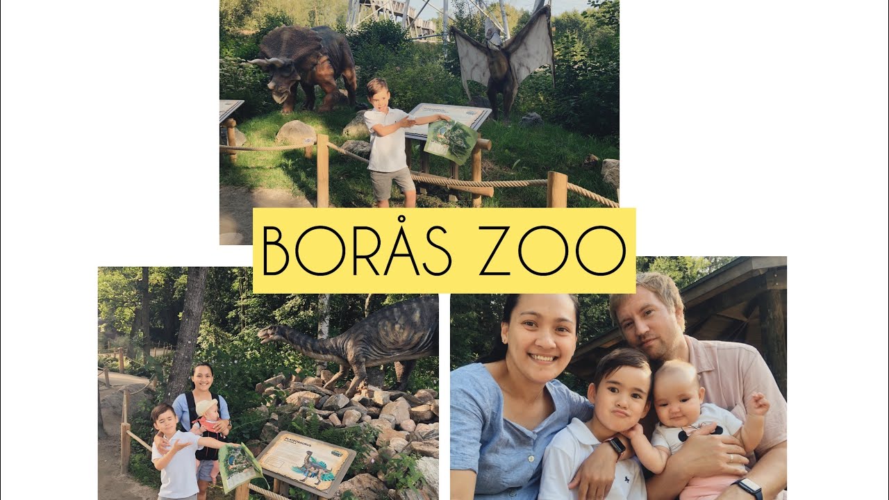 AMAZING ZOO IN SWEDEN||BORÅS DJURPARK || - YouTube