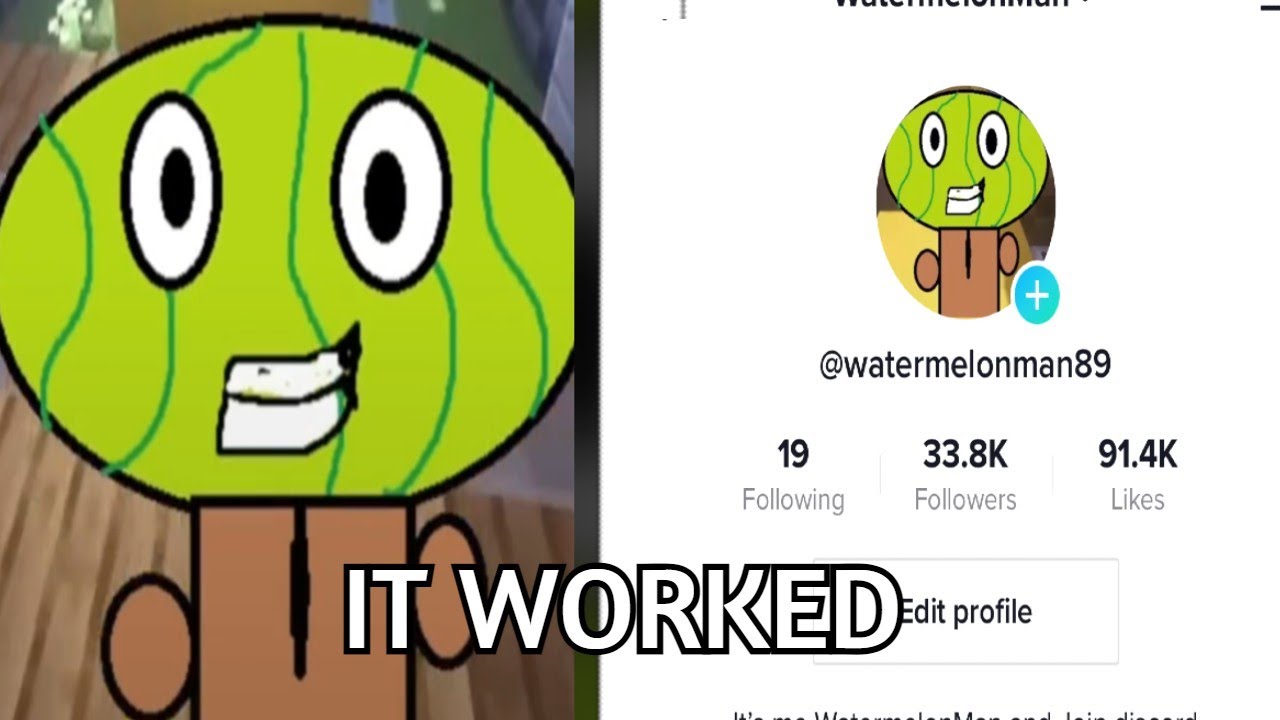 How I Became The Most Famous PngTuber On TIKTOK! ft. @engween_ - YouTube