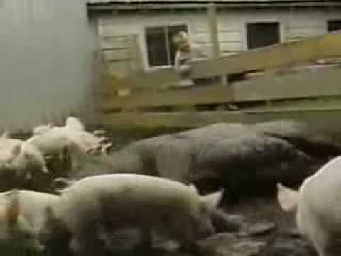 Sesame Street Creature Feature: The Pig - YouTube