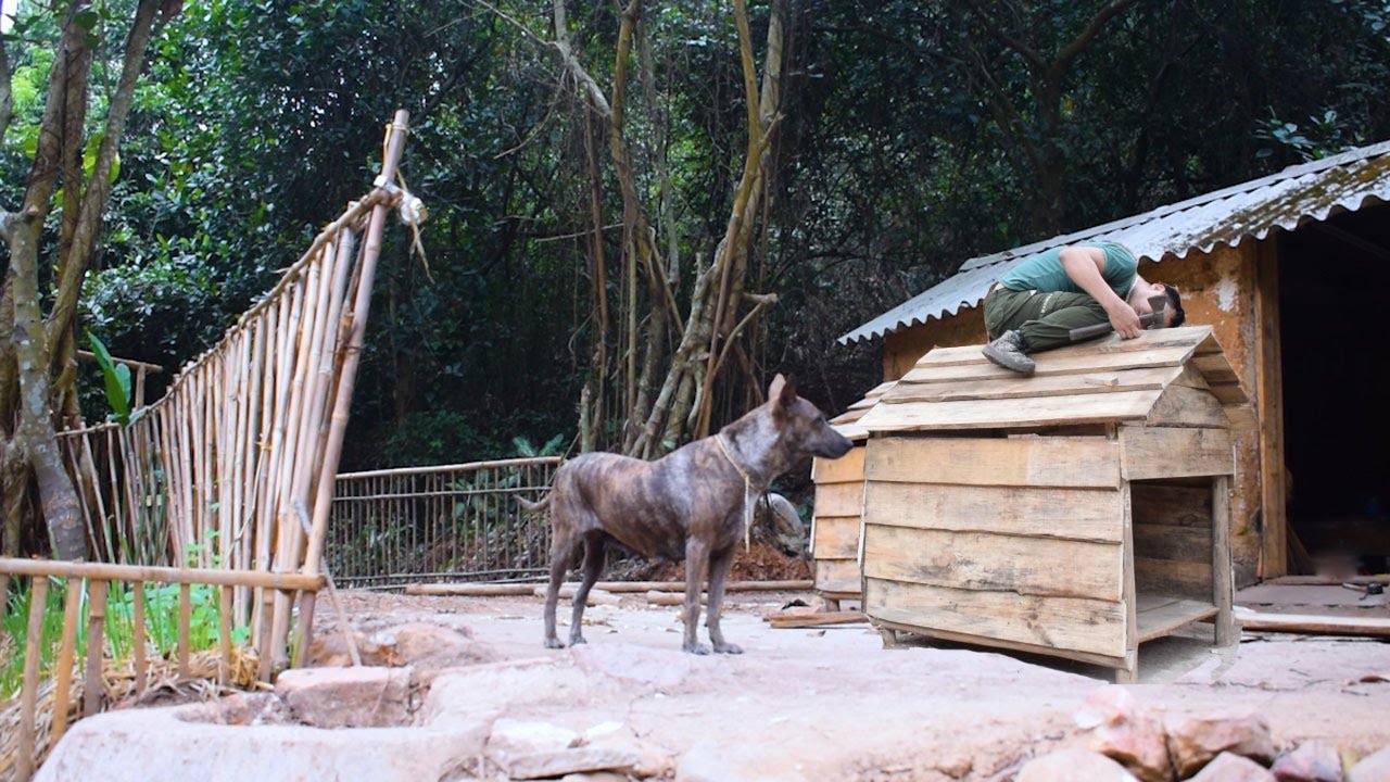 Building a life in the forest :Maintain the vegetable garden and ...