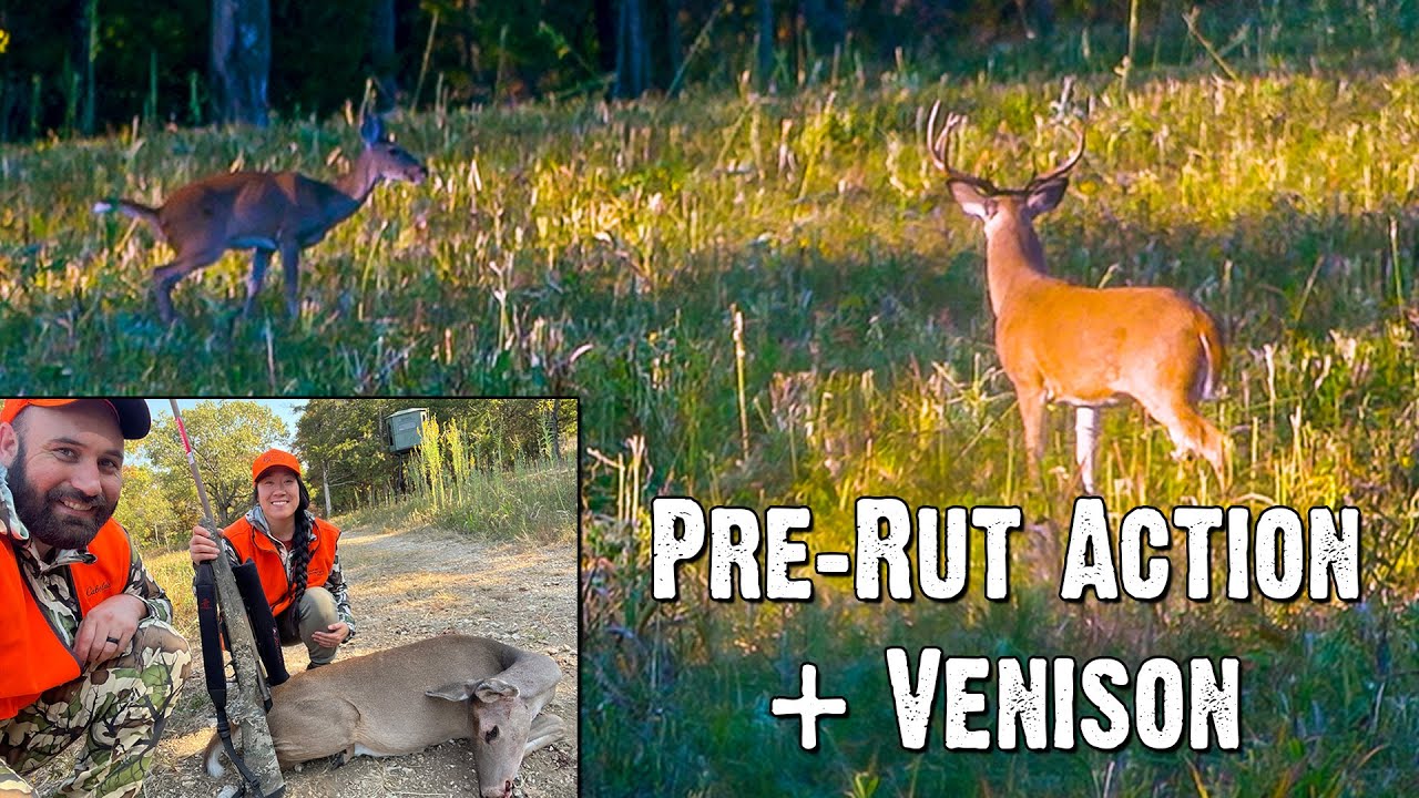 Pre-Rut Action! Fresh Venison for the Family! - YouTube