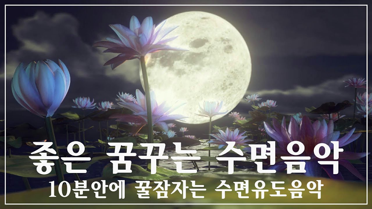 잔잔한 수면음악😴10분만 들으면 바로 깊은 잠에 들어갑니다 잠들때 듣는 음악 ☁잠잘때 듣는음악불면증에 좋은음악힐링음악 By Bgm Maker 편안해지는 음악