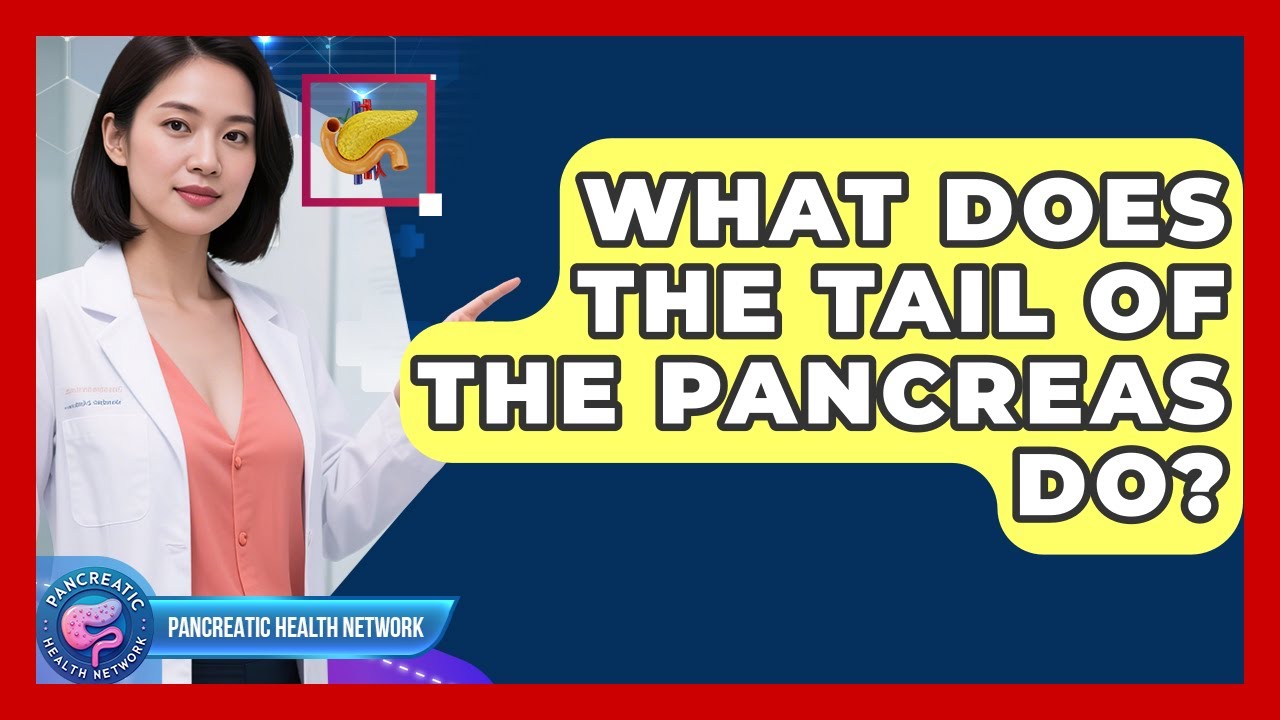 What Does The Tail Of The Pancreas Do? - Pancreatic Health Network ...