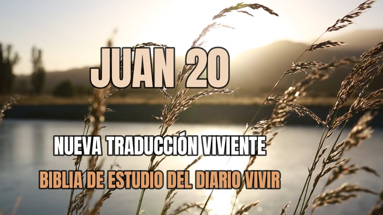 JUAN 20 NTV (Biblia de estudio del diario vivir) #Biblia # ...