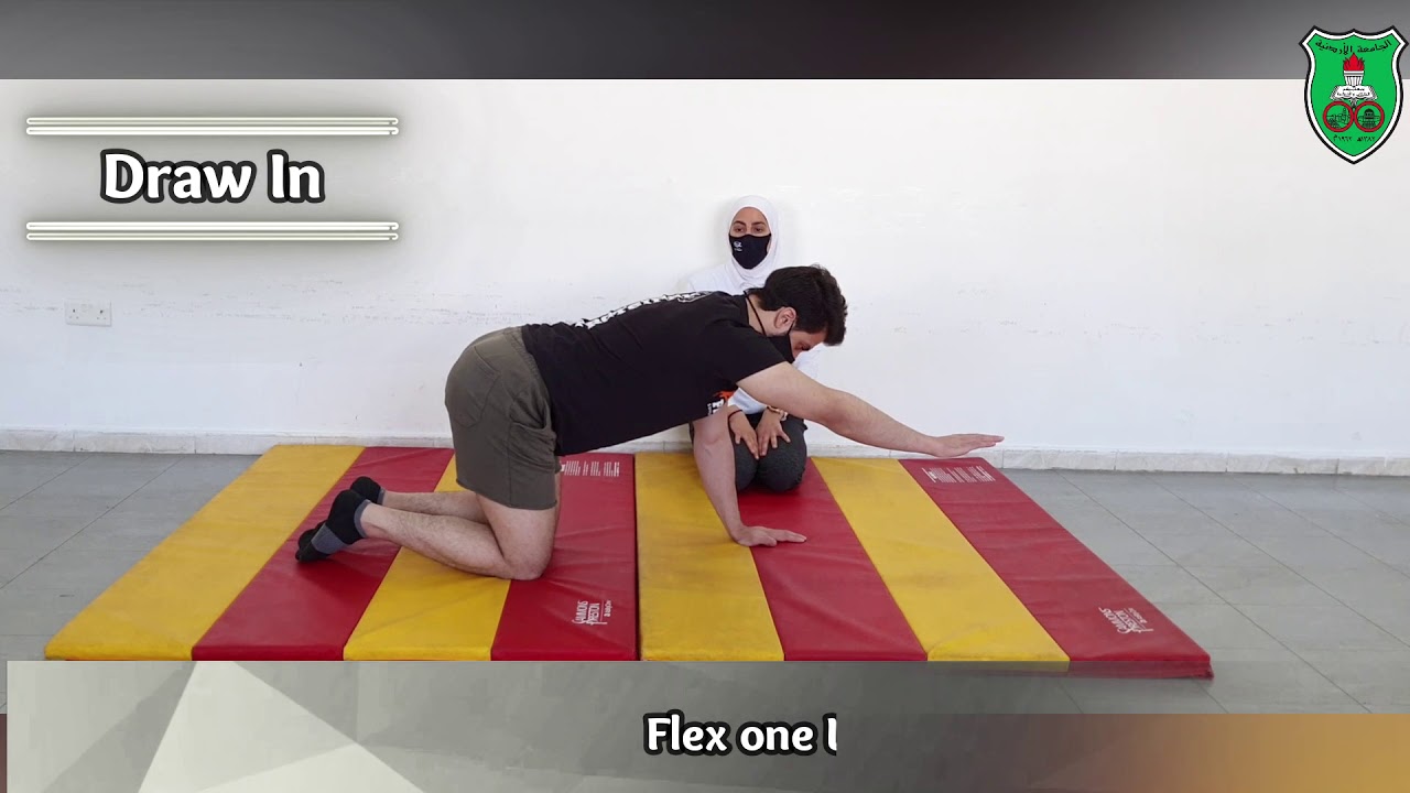 Basic Lumber stabilization with Progressive limb loading- Emphasis on ...