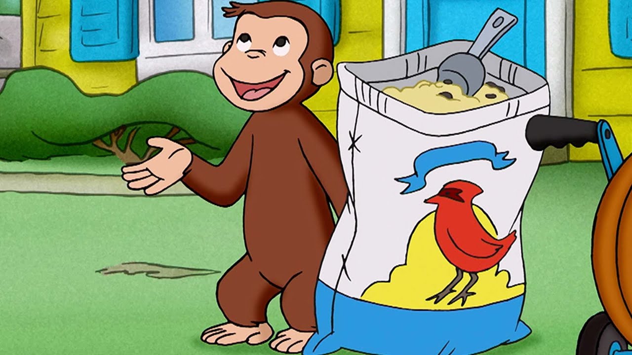 Georges le Petit Singe 🐵 Georges nourrit les oiseaux 🐵 Dessins Animés ...