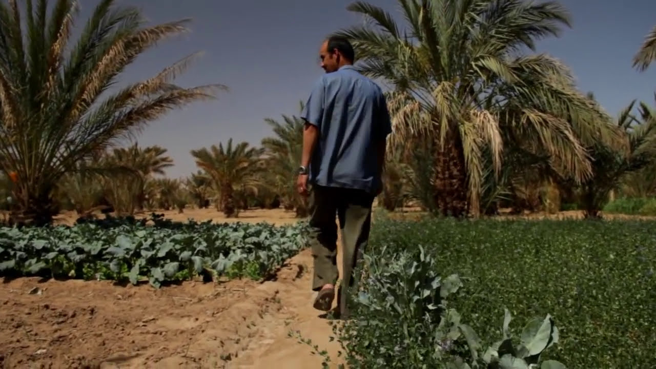 MAROCCO La khettara di Hassi Labiad - YouTube