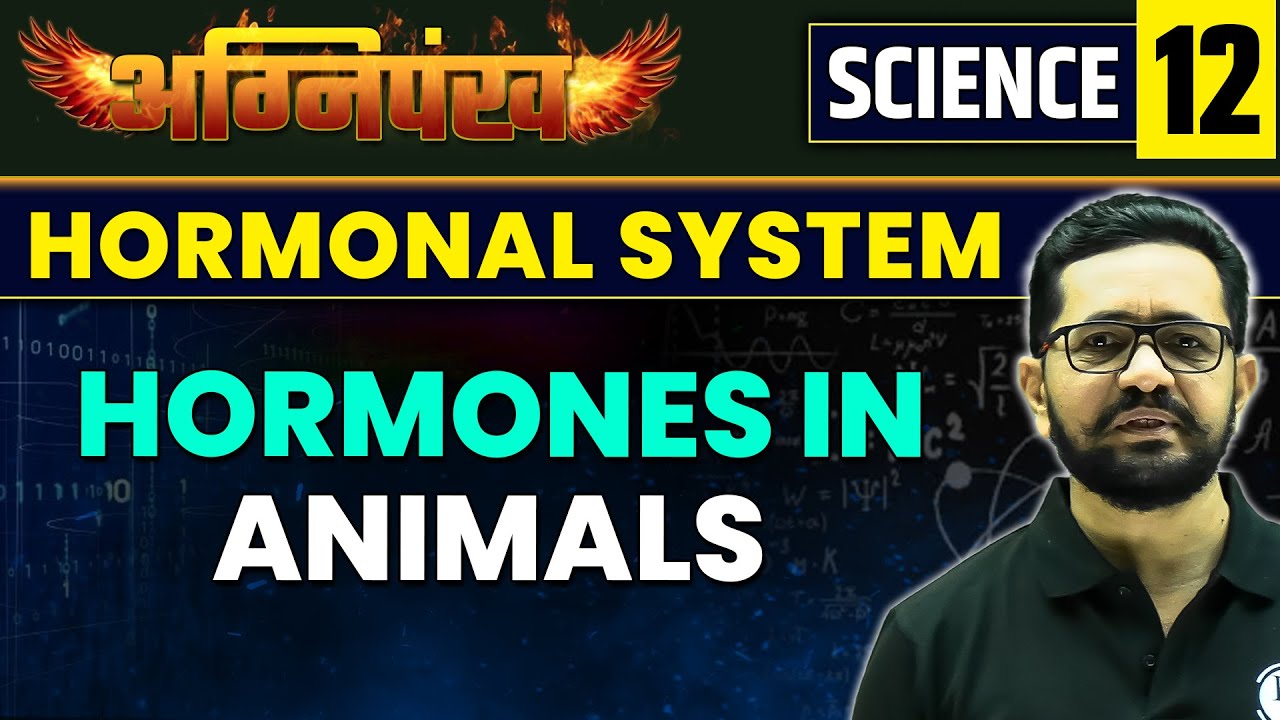 SCIENCE 12 : HORMONAL SYSTEM : HORMONES IN ANIMALS | MPSC Exam 2023 ...