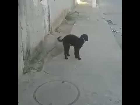 Дрочилка - YouTube