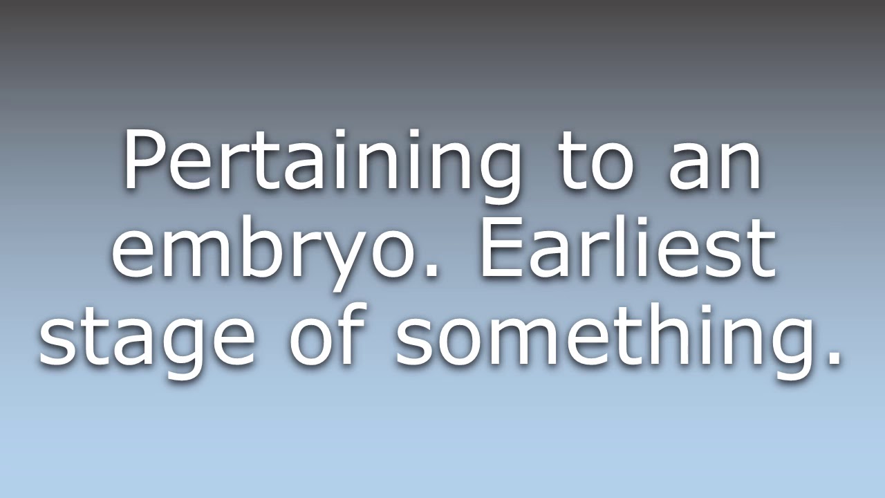What Does Embryo Mean YouTube what-does-embryo-mean-youtube