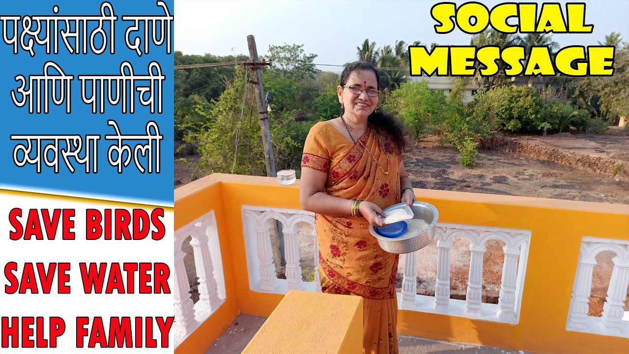 ह्या उन्हाळ्यात पक्ष्यांसाठी आपण काहीतरी करूया | Save Our Birds , Birds ...