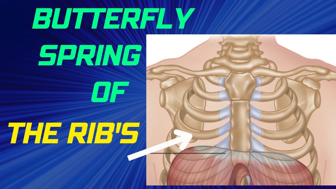 How to Mobilise & Manipulate the Ribs: Butterfly Spine Technique - YouTube