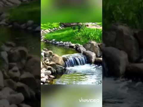 Gledaj brate mu'mine