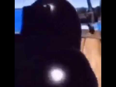 nah keciduk lu kan nonton bokep ngaku aja-Roblox indo newbie - YouTube