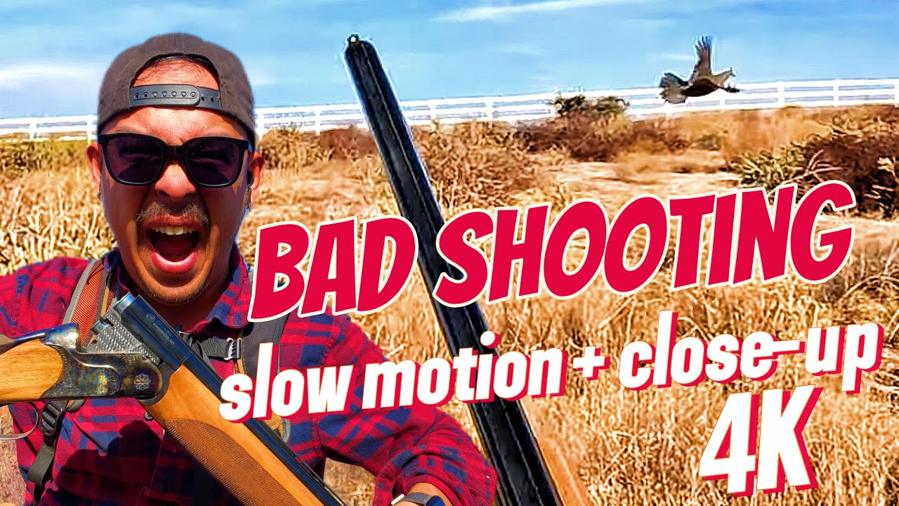 Quail Hunting Slump: Anatomy of Missed Shots, Close-Ups and in Slow ...