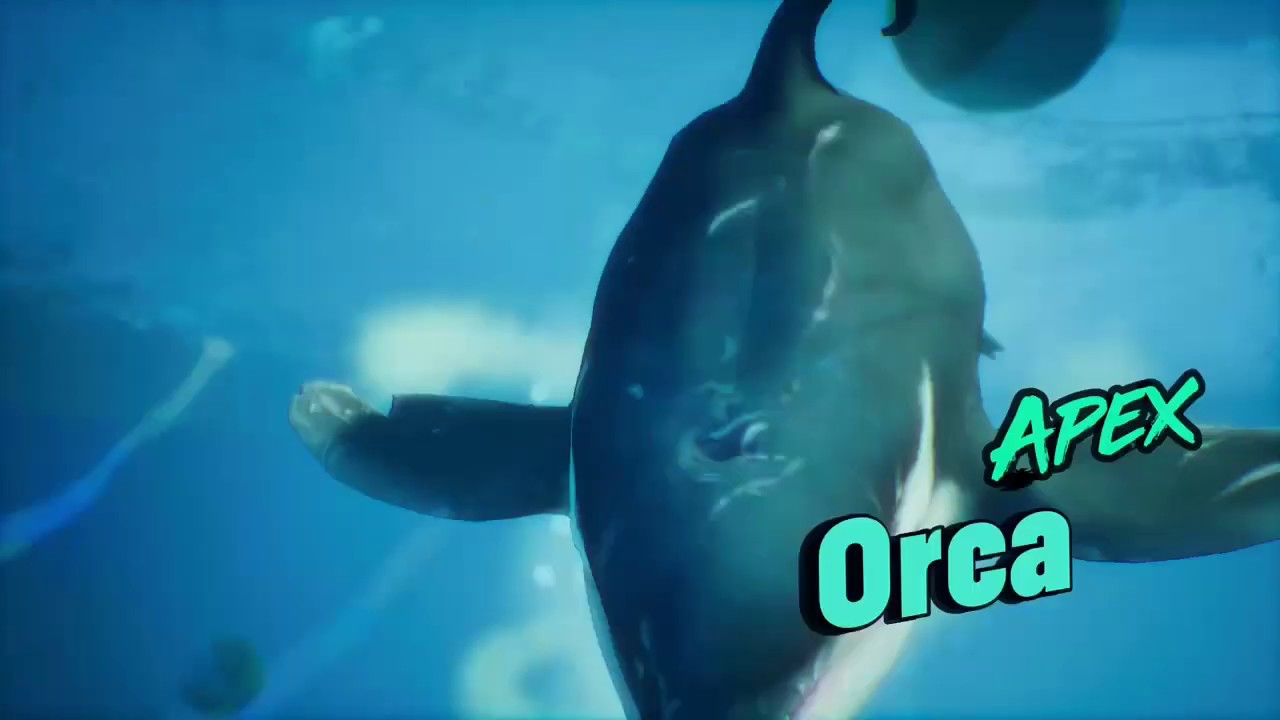 Maneater: Apex Orca Boss Fight - YouTube