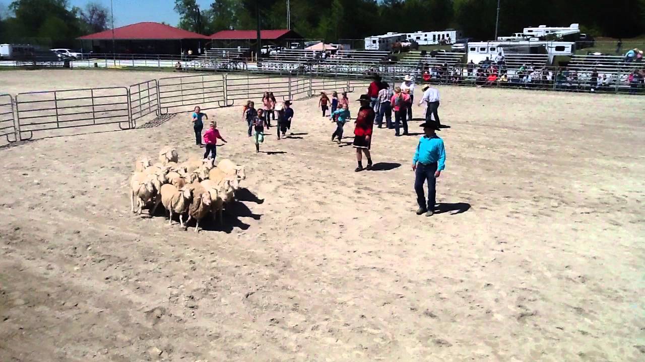 Sheep Scramble - YouTube