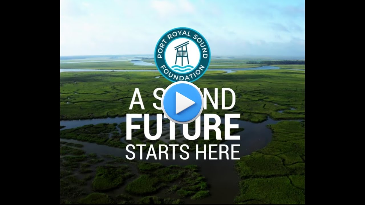 Port Royal Sound Foundation | Together, for a Sound Future - YouTube