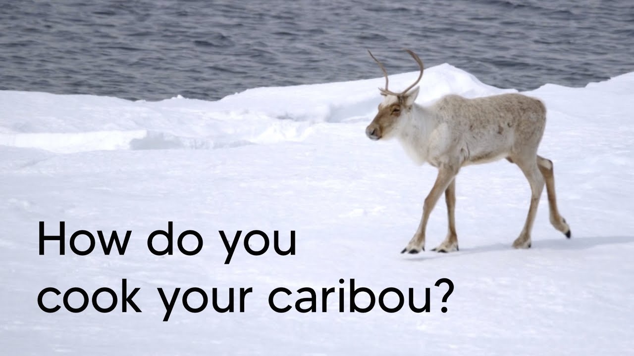 How do you cook your caribou? - YouTube