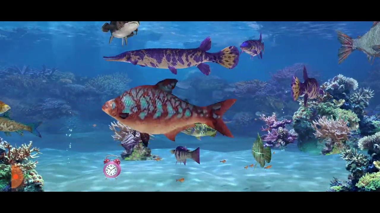 Amazing and Mind blowing Aquarium View at World Fishing Championship ...