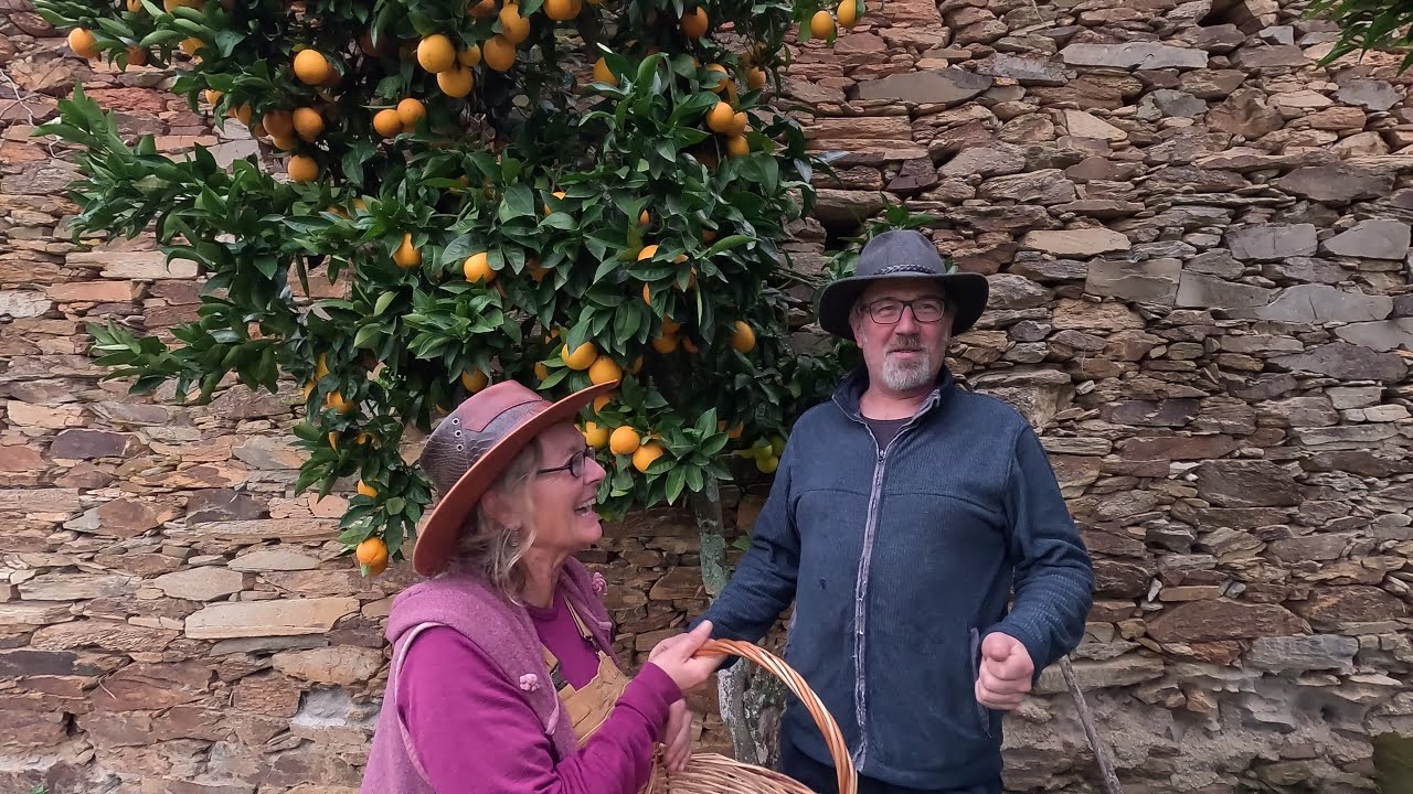 Gathering Food for the Christmas Table | More Wildlife - YouTube