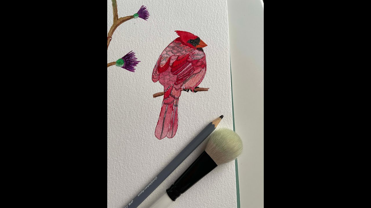 Red Jay short - YouTube