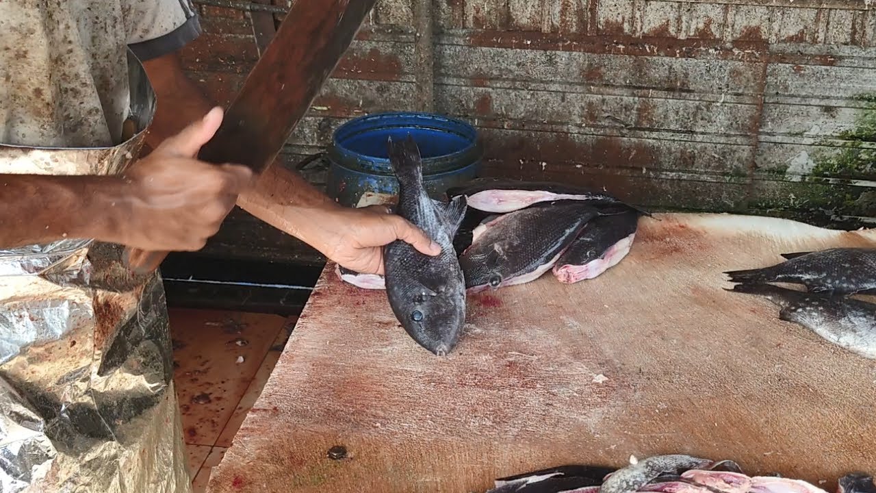 Rabbit Fish 🐇 Cleaning And Cutting Skills🔥 Perfect Rabbit Fish Cutting ...