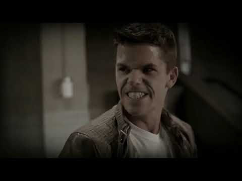 Ethan and Aiden Steiner  \