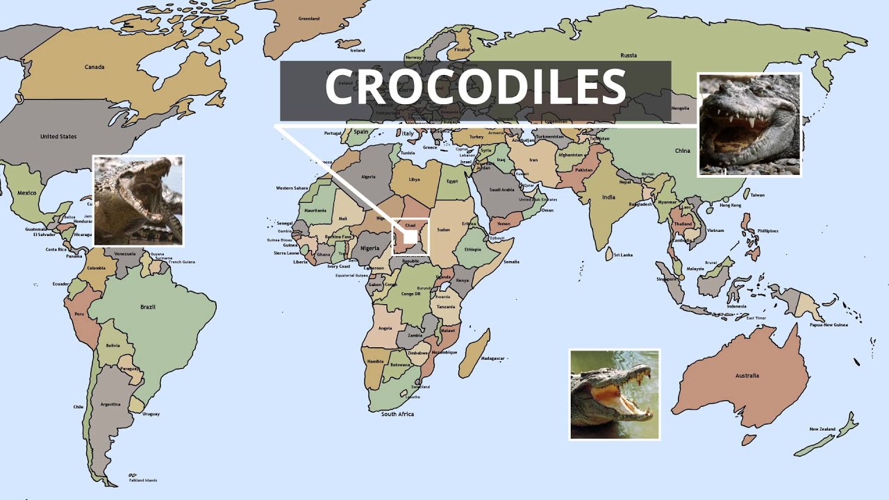 croc map - YouTube