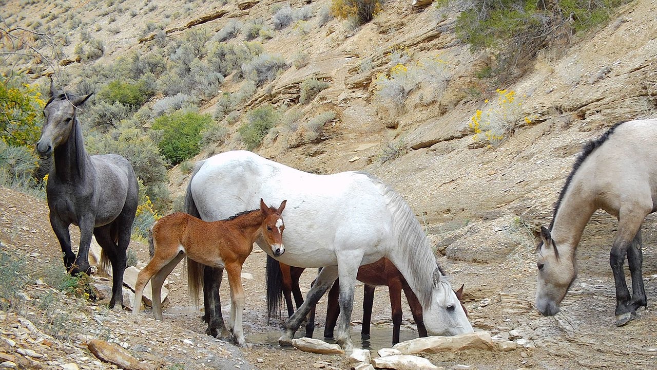 Pacino's Band Sept 17 2024 - YouTube