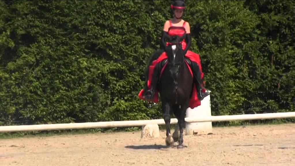 Allison et Wanda - Reprise Libre - Lamotte 2014 - YouTube