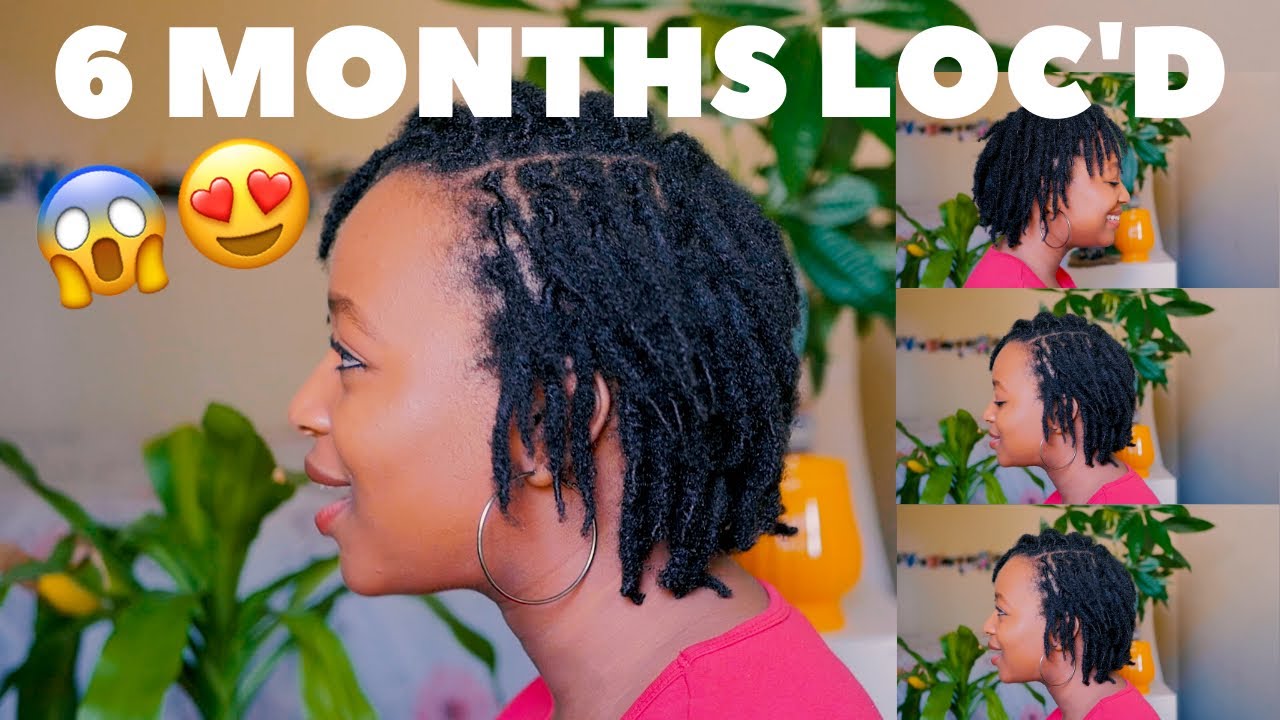 6 Month Visual Loc Journey! Lots of pics and videos (Two Strand Twist ...