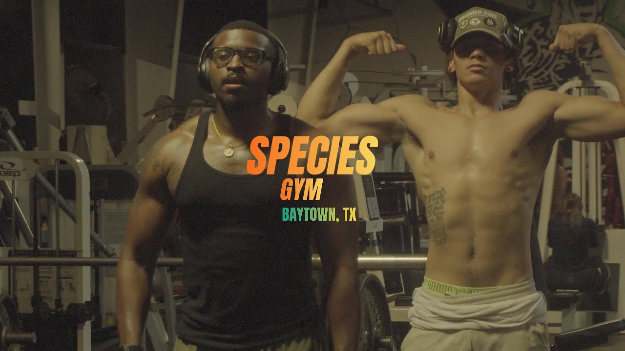 Species Gym Tour Baytown Texas | Chest Day & Leg Day Workout Vlog - YouTube